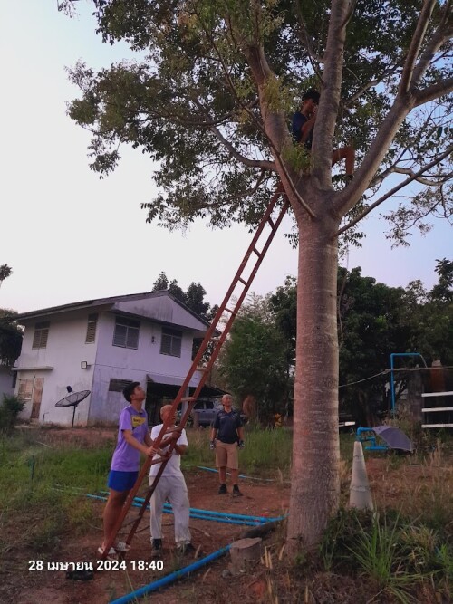 20240428 184042 - pic.in.th