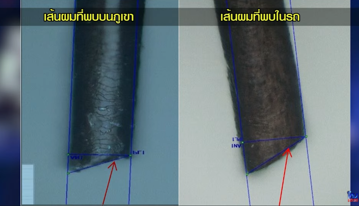 Screenshot_19b5ebea0529e5bbc.png hosted at pic.in.th - pic.in.th